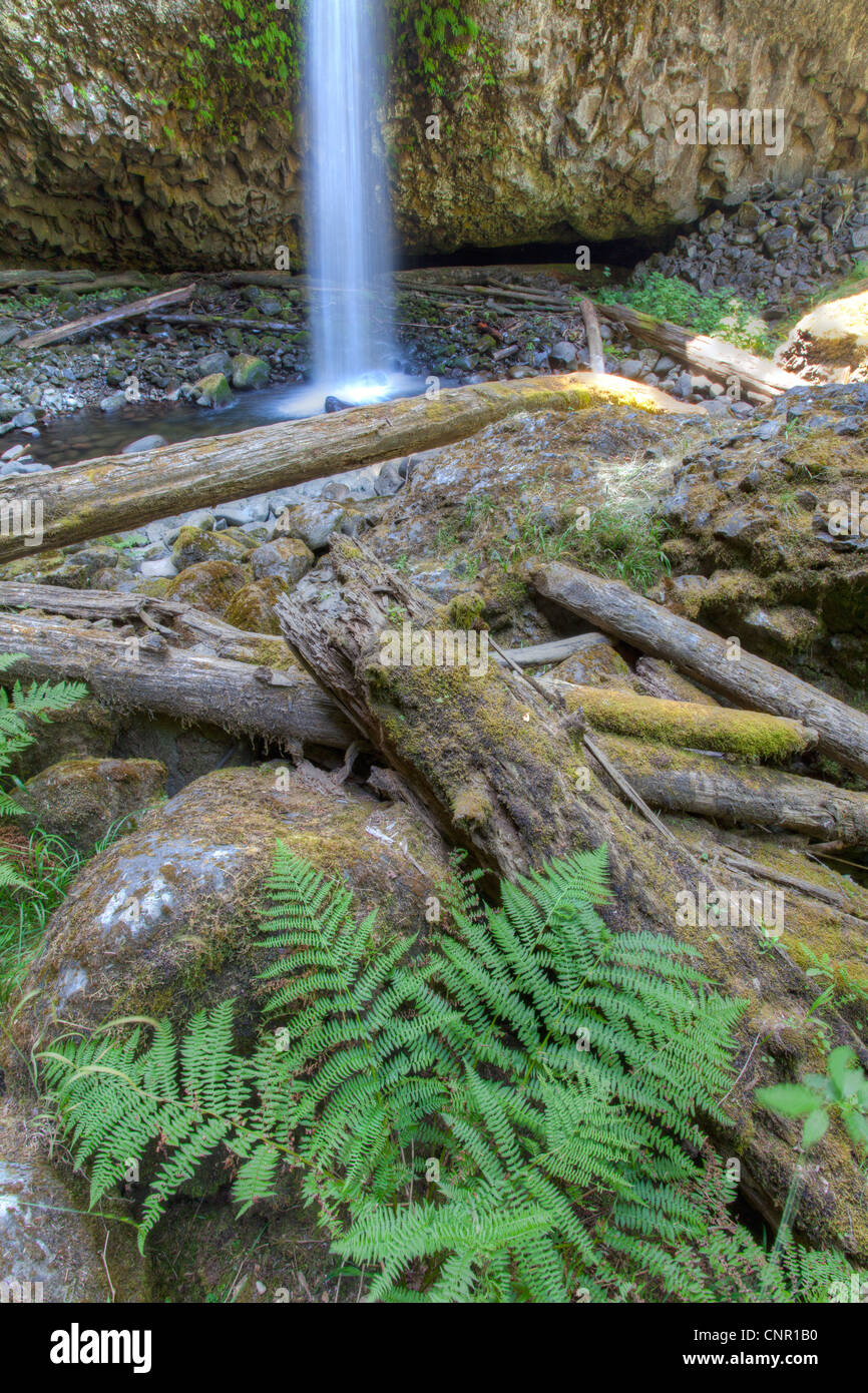 Middle Oneonta Falls Oregon USA Stock Photo - Alamy