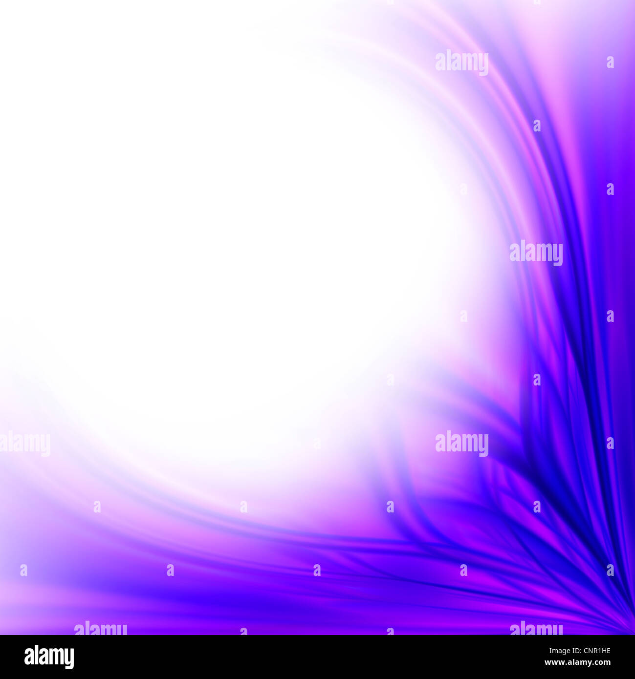 Beautiful fresh purple floral border background isolated on white Stock ...