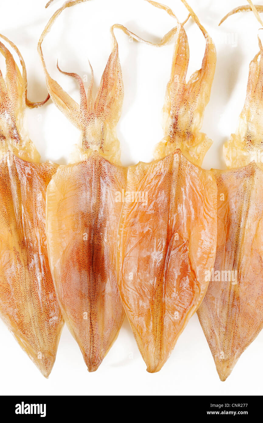 dry squid on white background Stock Photo - Alamy