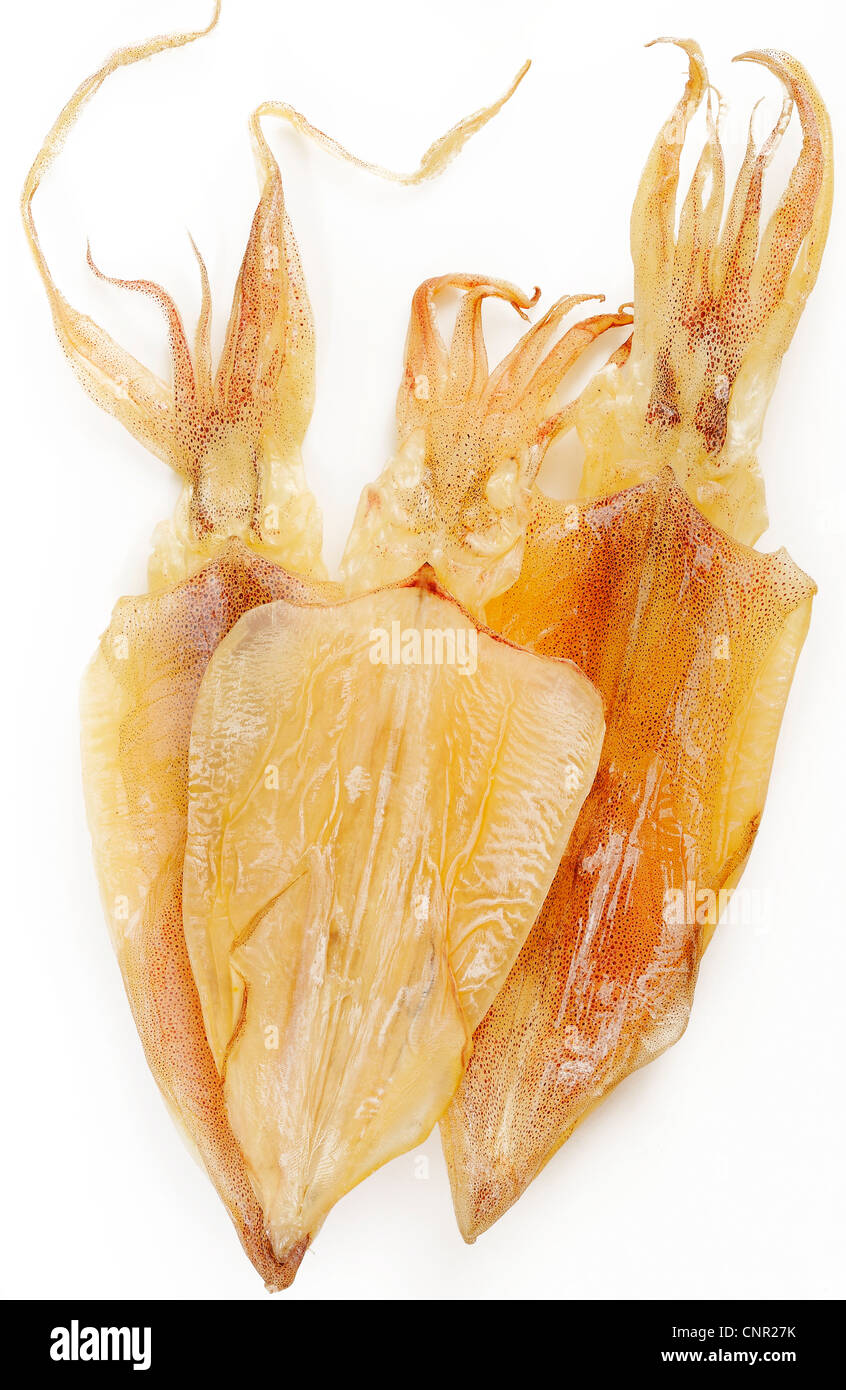 dry squid on white background Stock Photo - Alamy