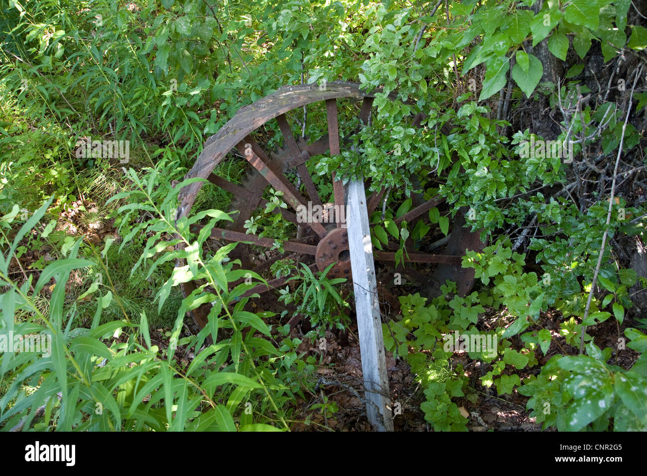 Rusty wheel in the old abandoned town site of Susitna Station, Alaska ...