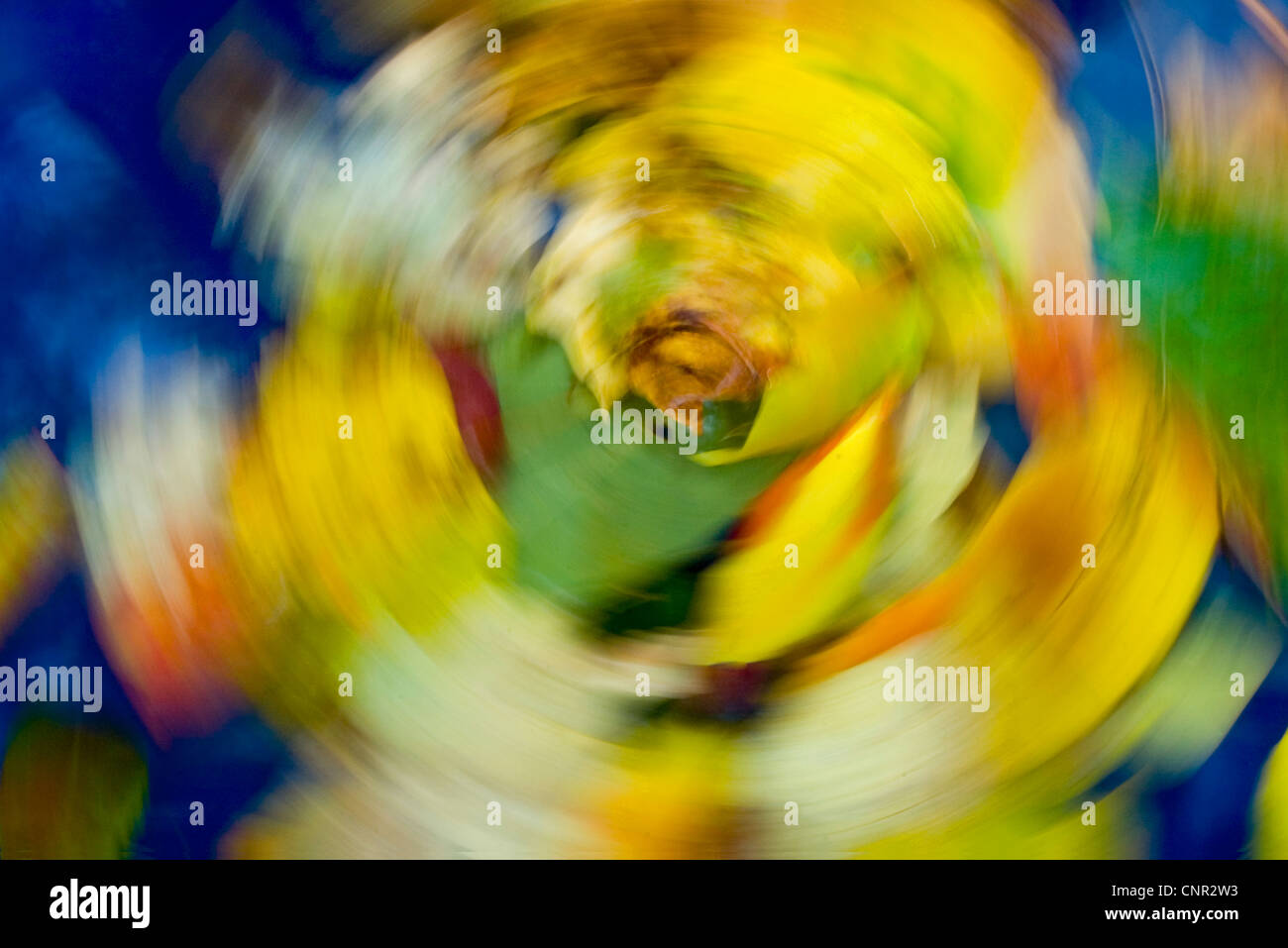 Fall Leaves, Swirl Effect Stock Photo - Alamy