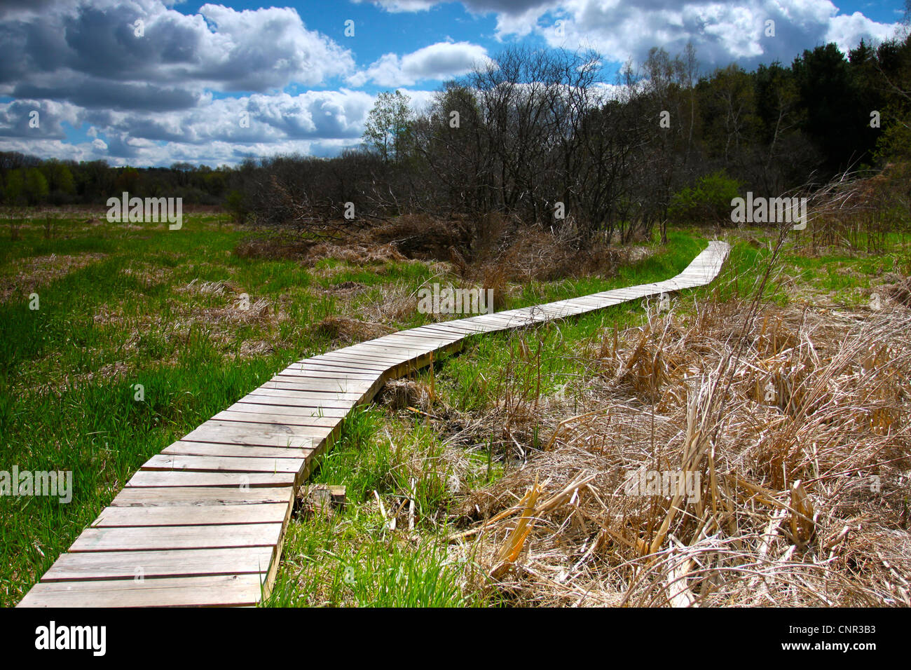 Wetlands greenery hi-res stock photography and images - Alamy