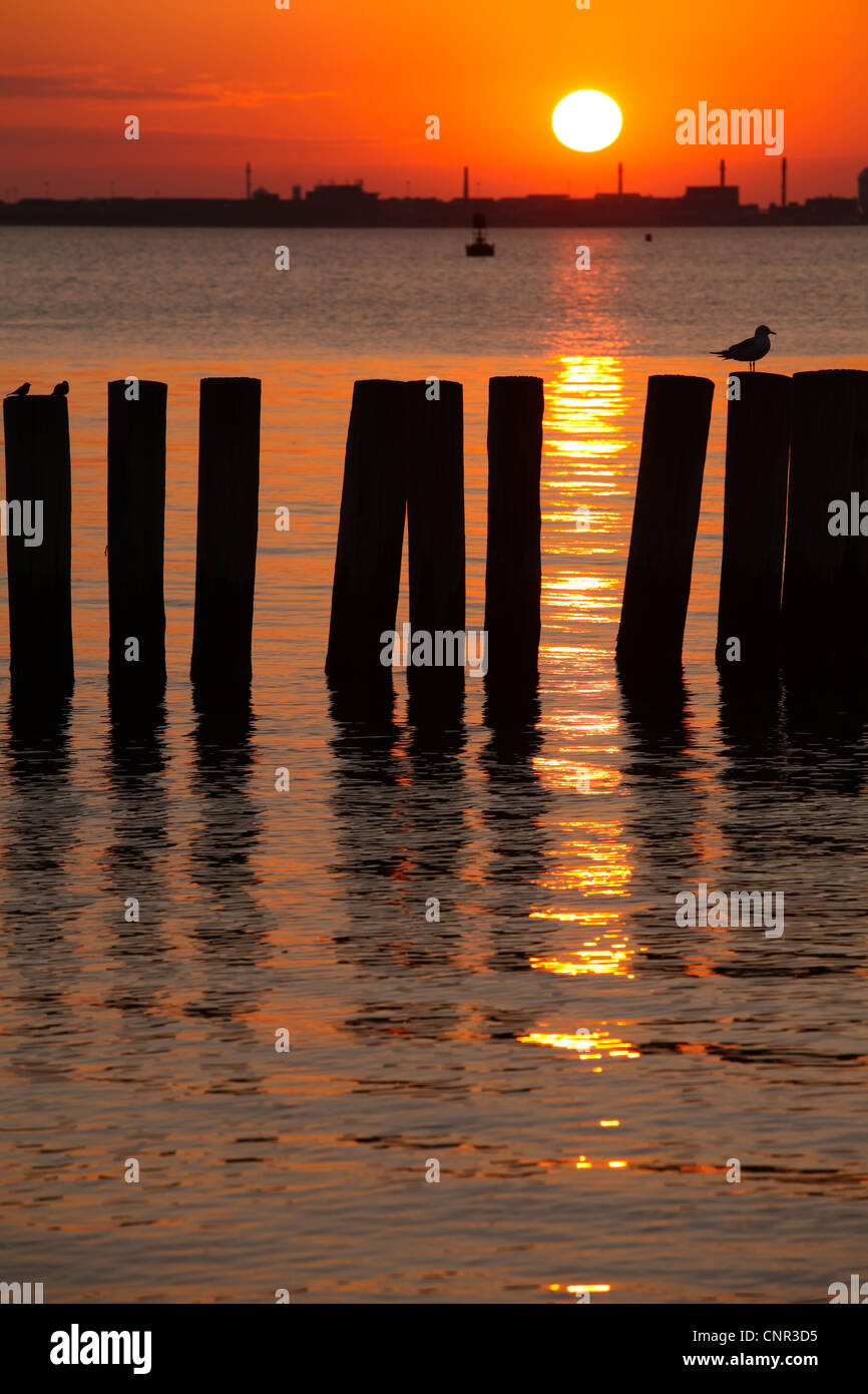 Boston harbor hi-res stock photography and images - Alamy
