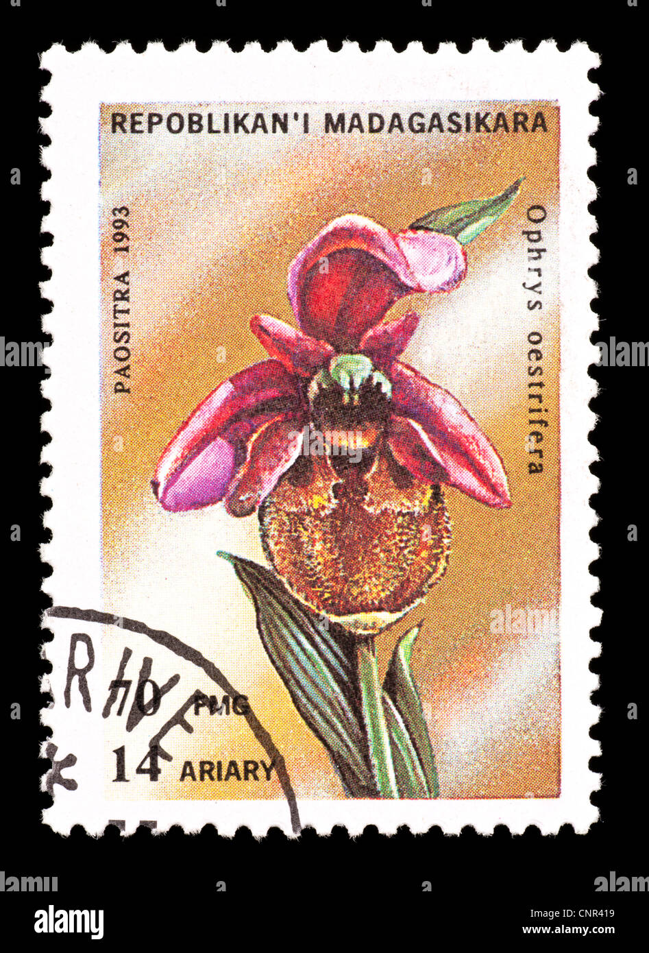 Postage stamp from Madagascar depicting an exotic orchid (Ophrys ...