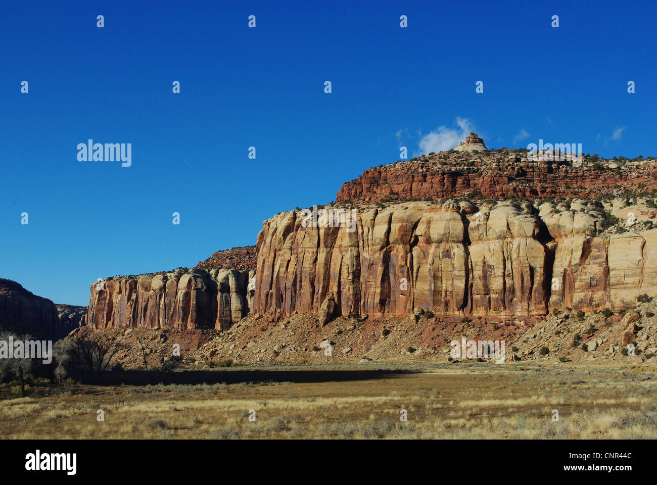 Beautiful rock wall, Utah Stock Photo - Alamy