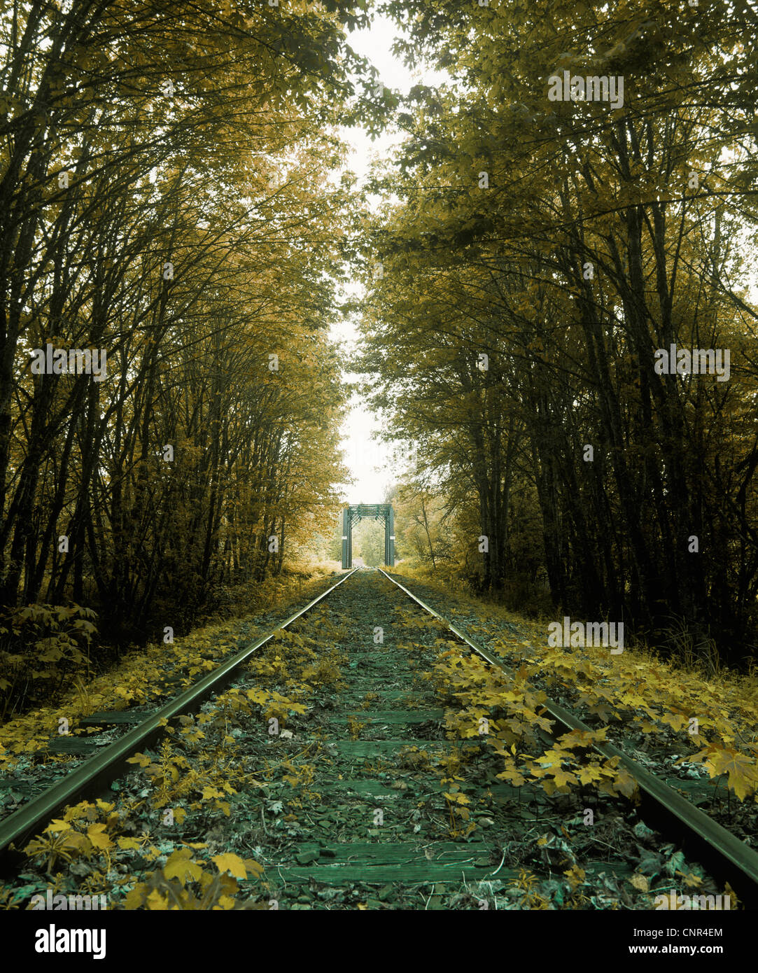 Train tracks hi-res stock photography and images - Alamy