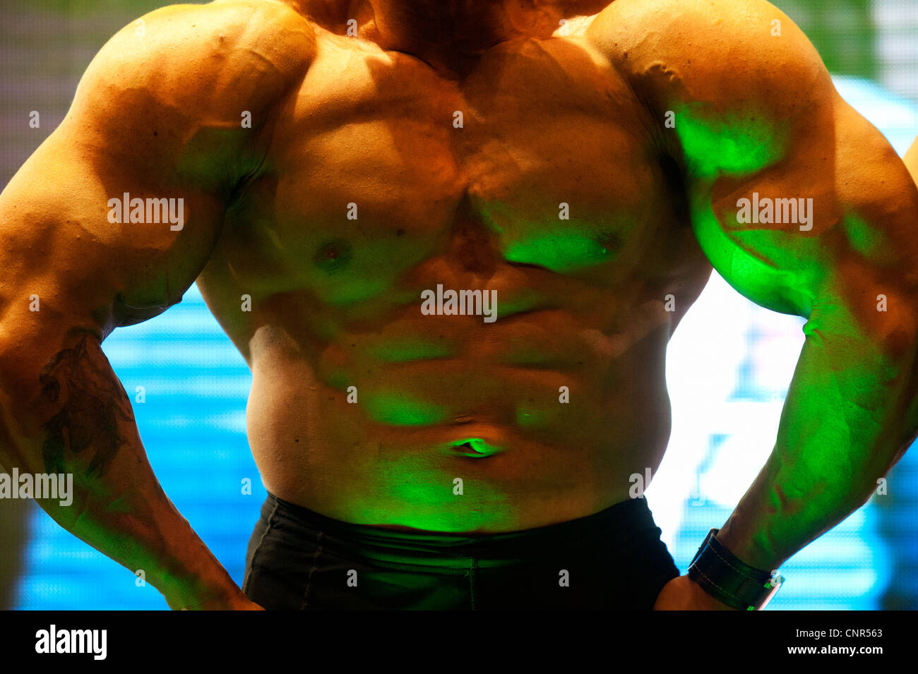 Detail of a male bodybuilder during the fitness fair FIBO in Essen ...