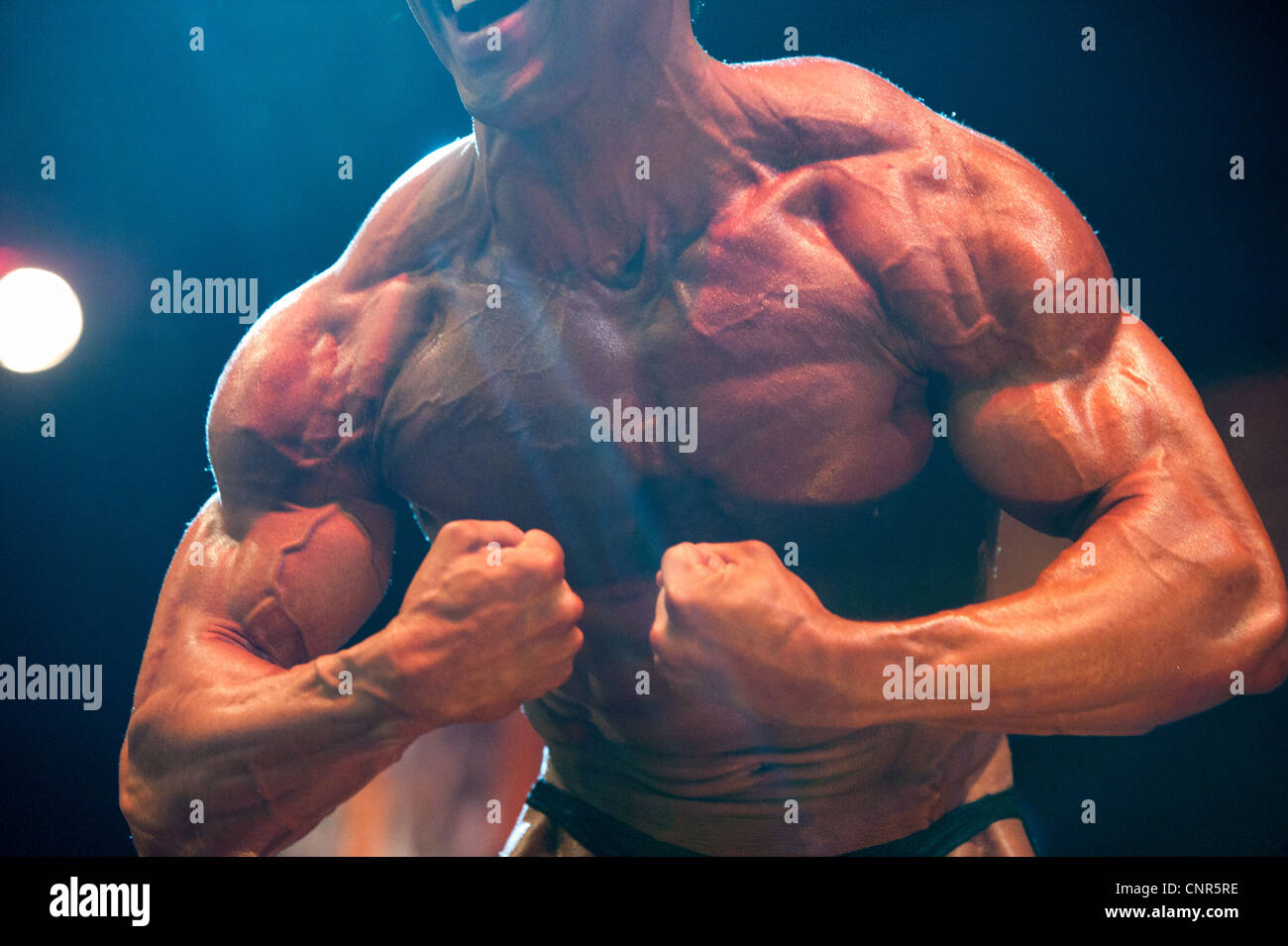 Bodybuilder bodybuilding show fibo power hi-res stock photography and ...