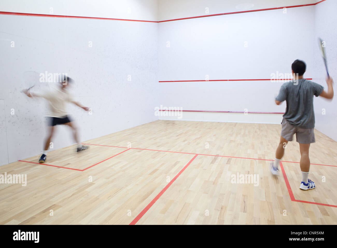 Squash players in action on a squash court (motion blurred image; color ...