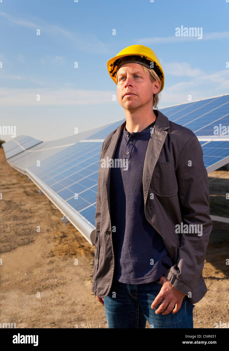 Architect in field with solar panels Stock Photo - Alamy
