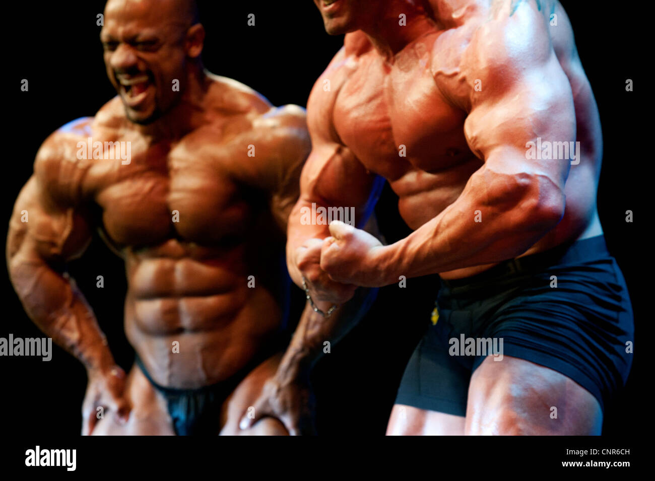 Detail of a male bodybuilder during the fitness fair FIBO in Essen ...