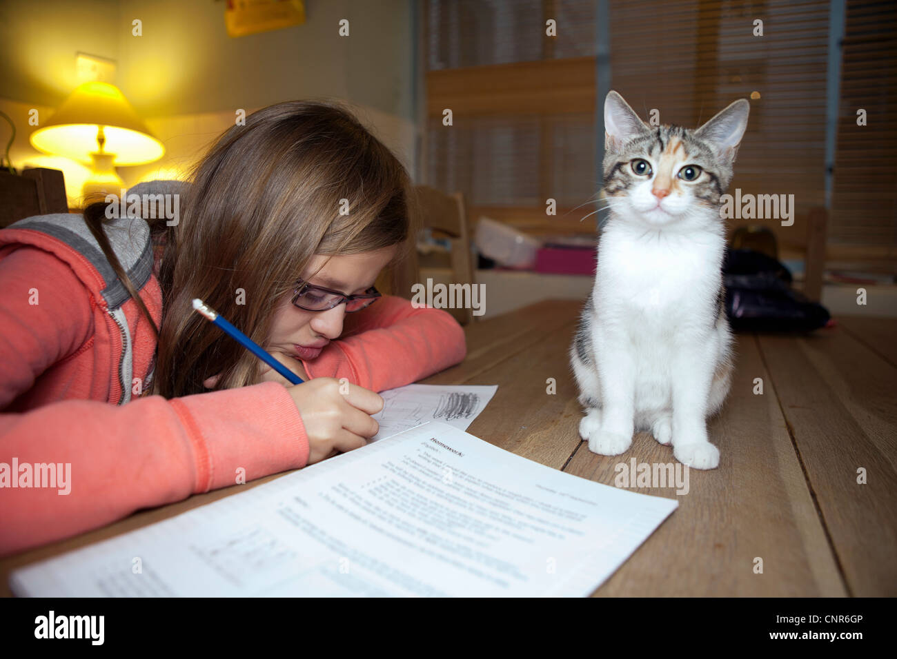 Girl studying with cat on table Stock Photo - Alamy