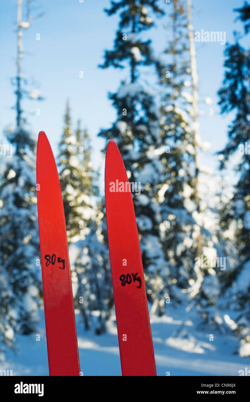 Numbered Tree High Resolution Stock Photography and Images - Alamy