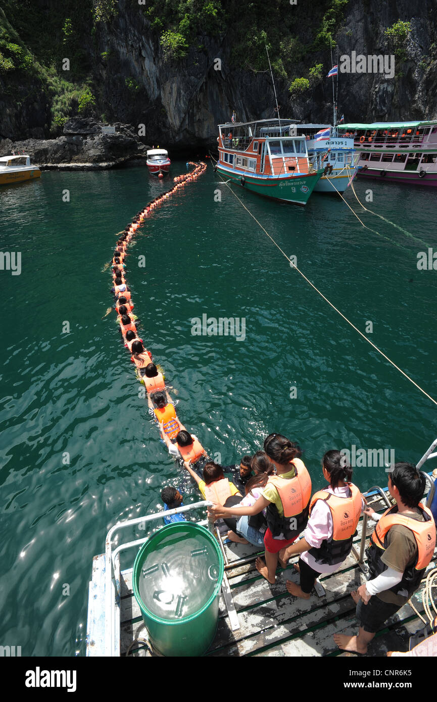 chain of swimmers Swimming into Morakot cave , the island of koh mook ...