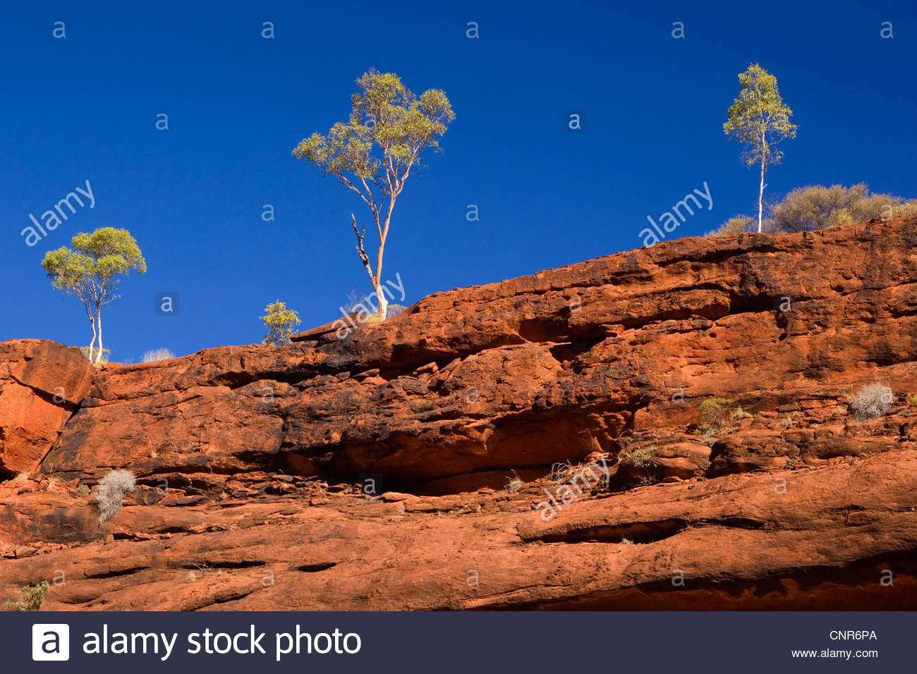 Finke Gorge National Park Stock Photos & Finke Gorge National Park ...