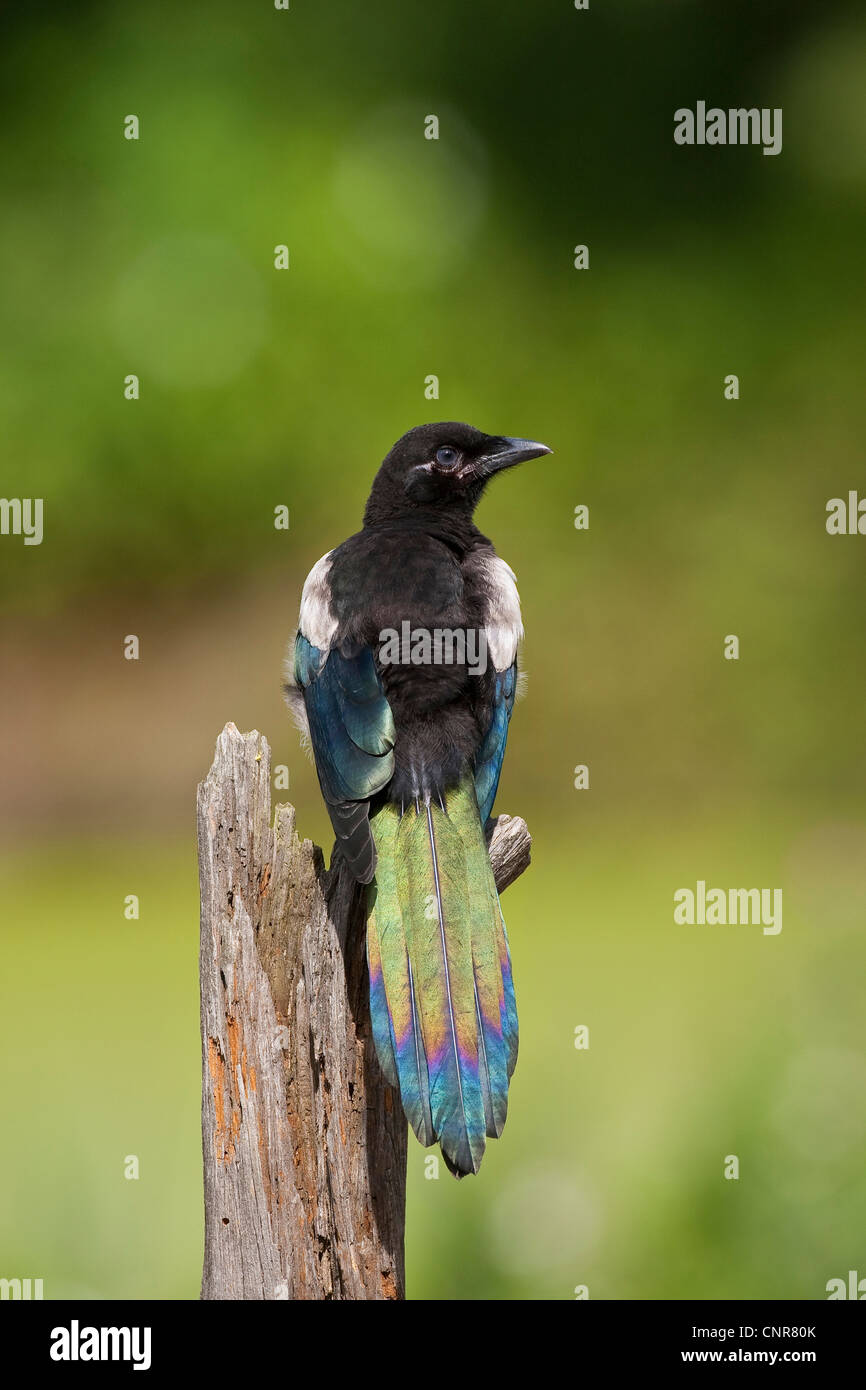 Portrait full length portraits full length sitting black white black hi ...