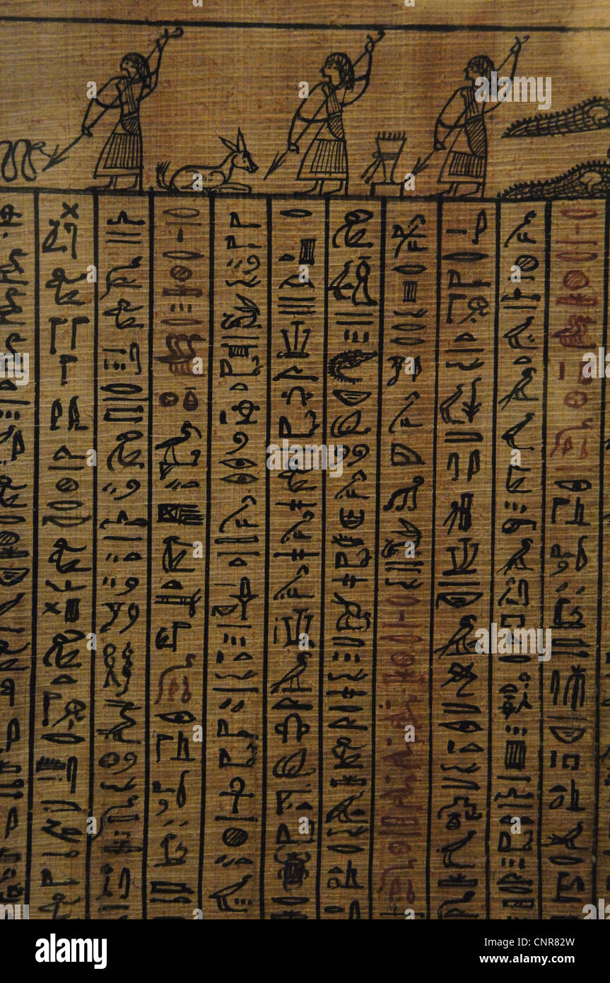 Egyptian hieroglyphics and papyrus hi-res stock photography and images ...