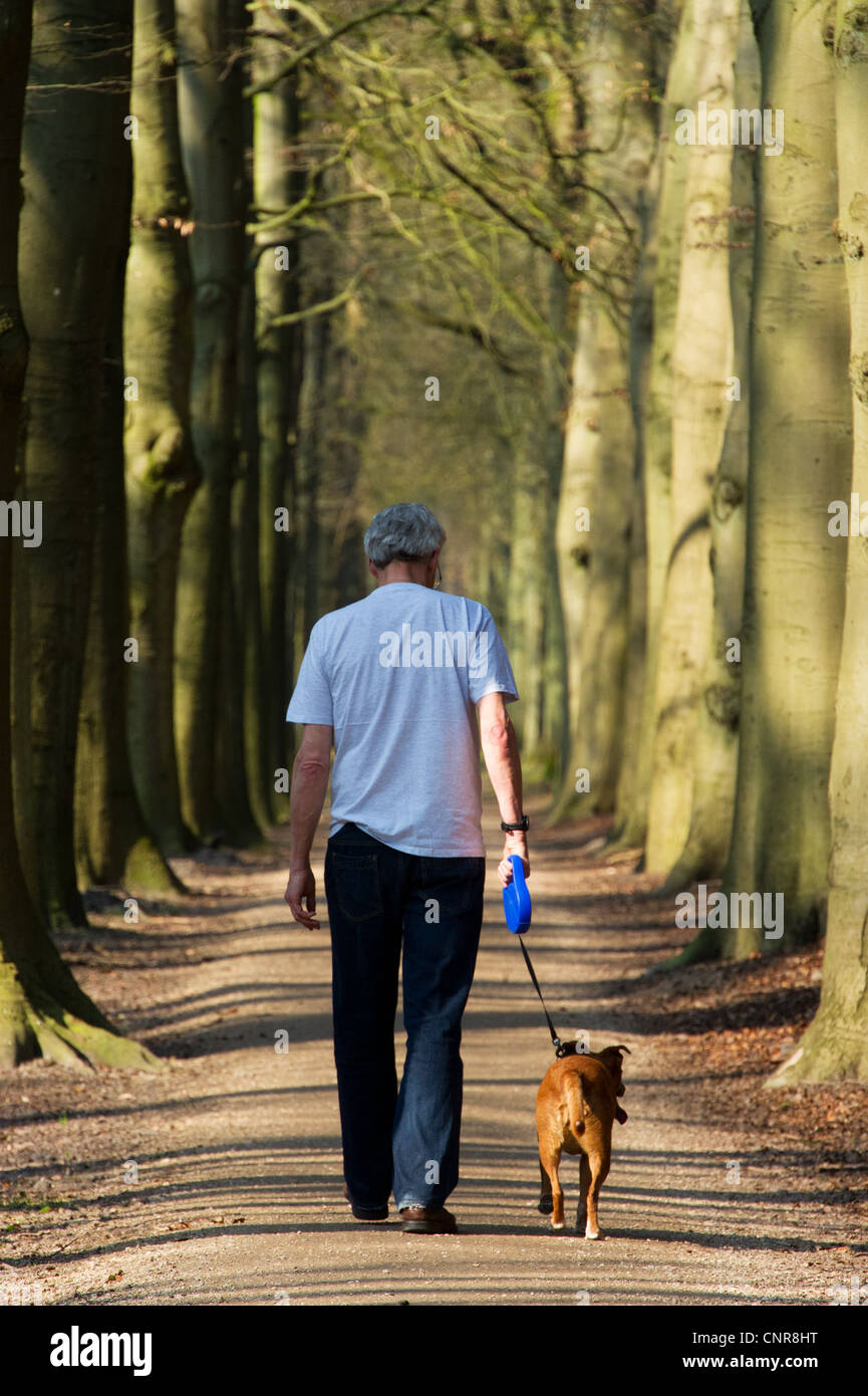 Man and dog walking in forest lane Stock Photo - Alamy