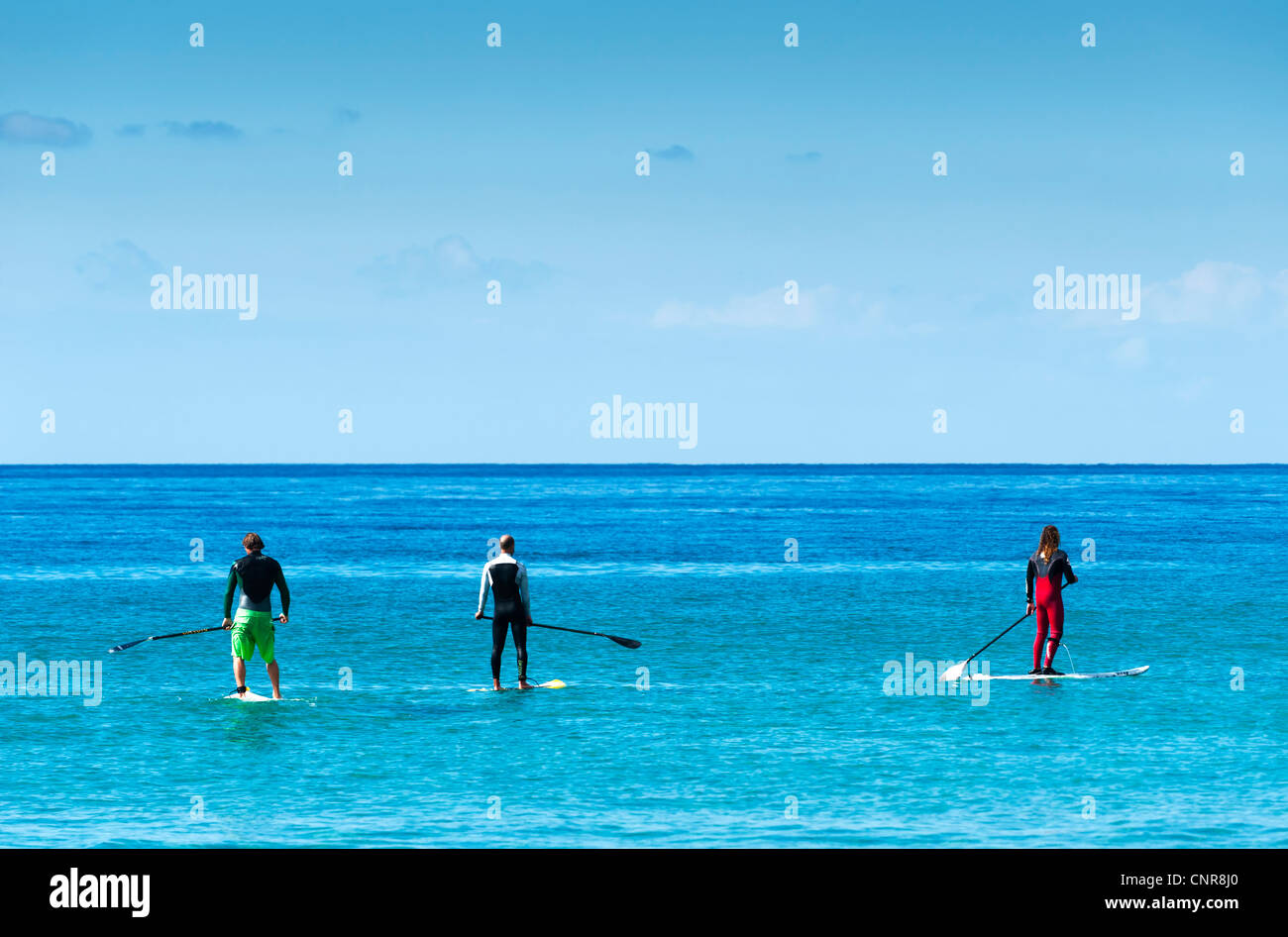 Paddle surfers in Tarifa, Costa de la Luz, Cadiz, Andalusia, Spain ...