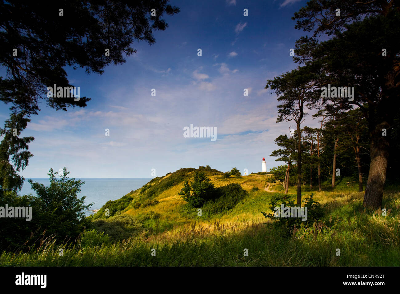 coastal landscape with lighthouse on Hiddensee, Germany, Mecklenburg ...
