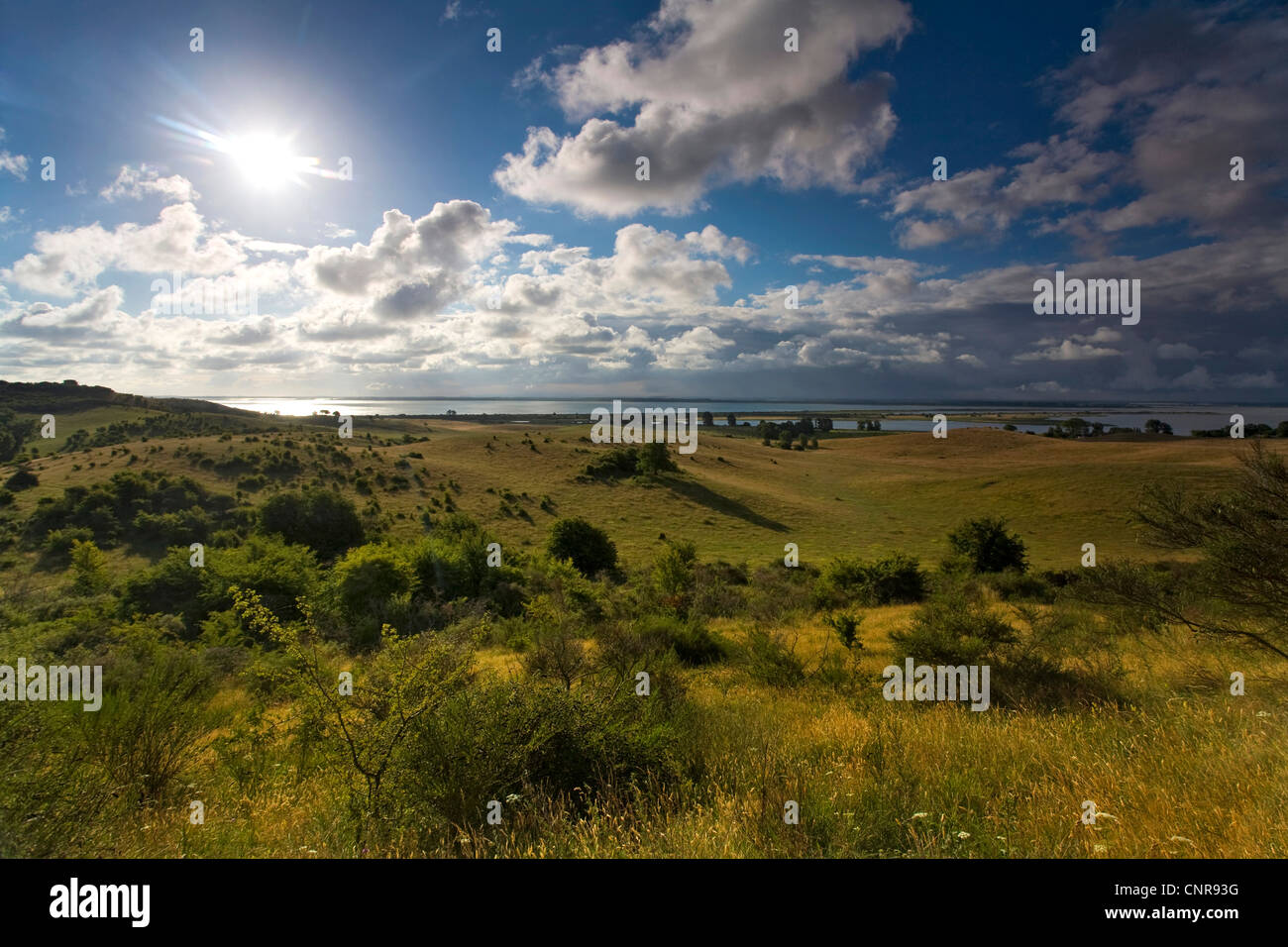 coastal landscape on Hiddensee, Germany, Mecklenburg-Western Pomerania ...