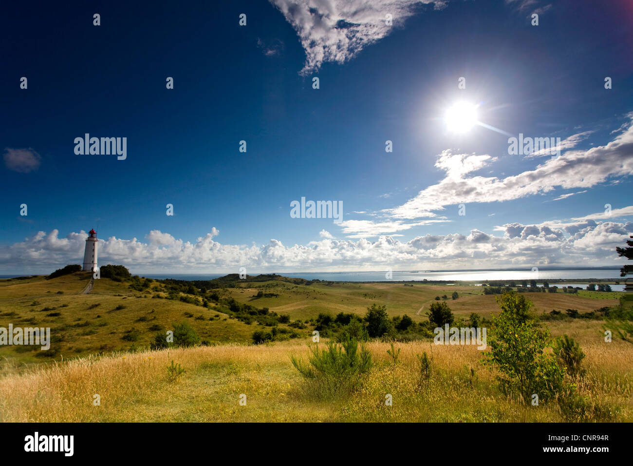 Lighthouse on the island of hiddensee hi-res stock photography and ...