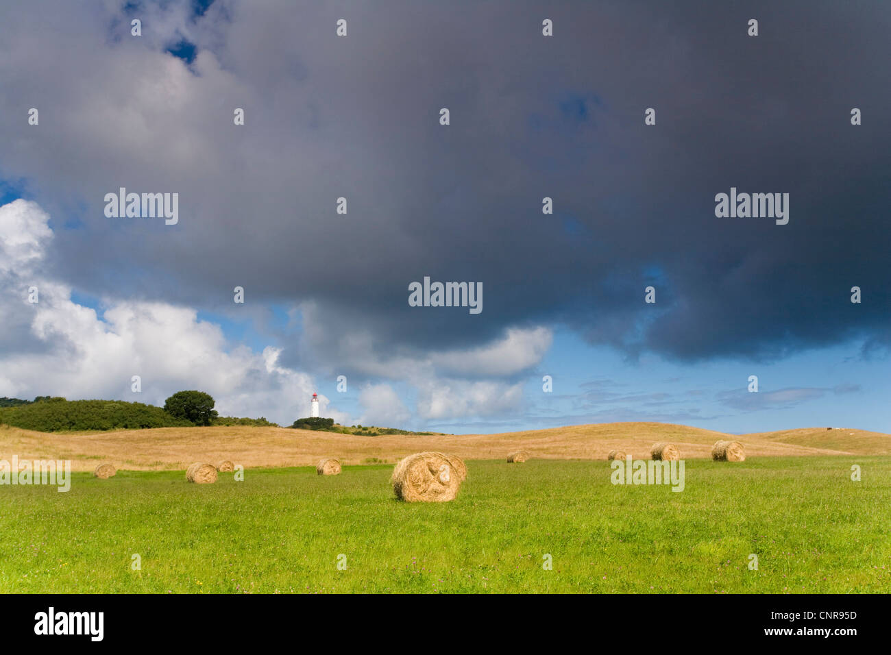 meadows with lighthouse at stormy atmosphere, Germany, Mecklenburg ...