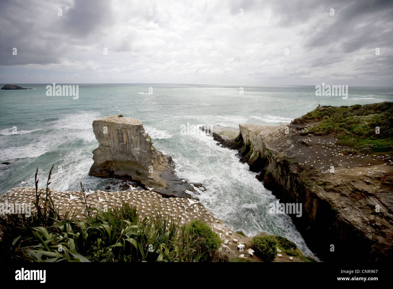 Craggy rocks jutting into ocean Stock Photo - Alamy