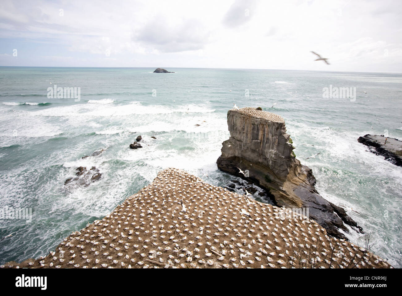 Craggy rock jutting into ocean Stock Photo - Alamy