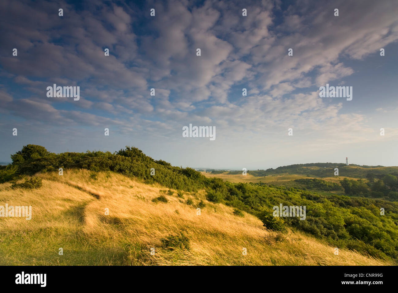 coastal landscape with lighthouse on Hiddensee, Germany, Mecklenburg ...