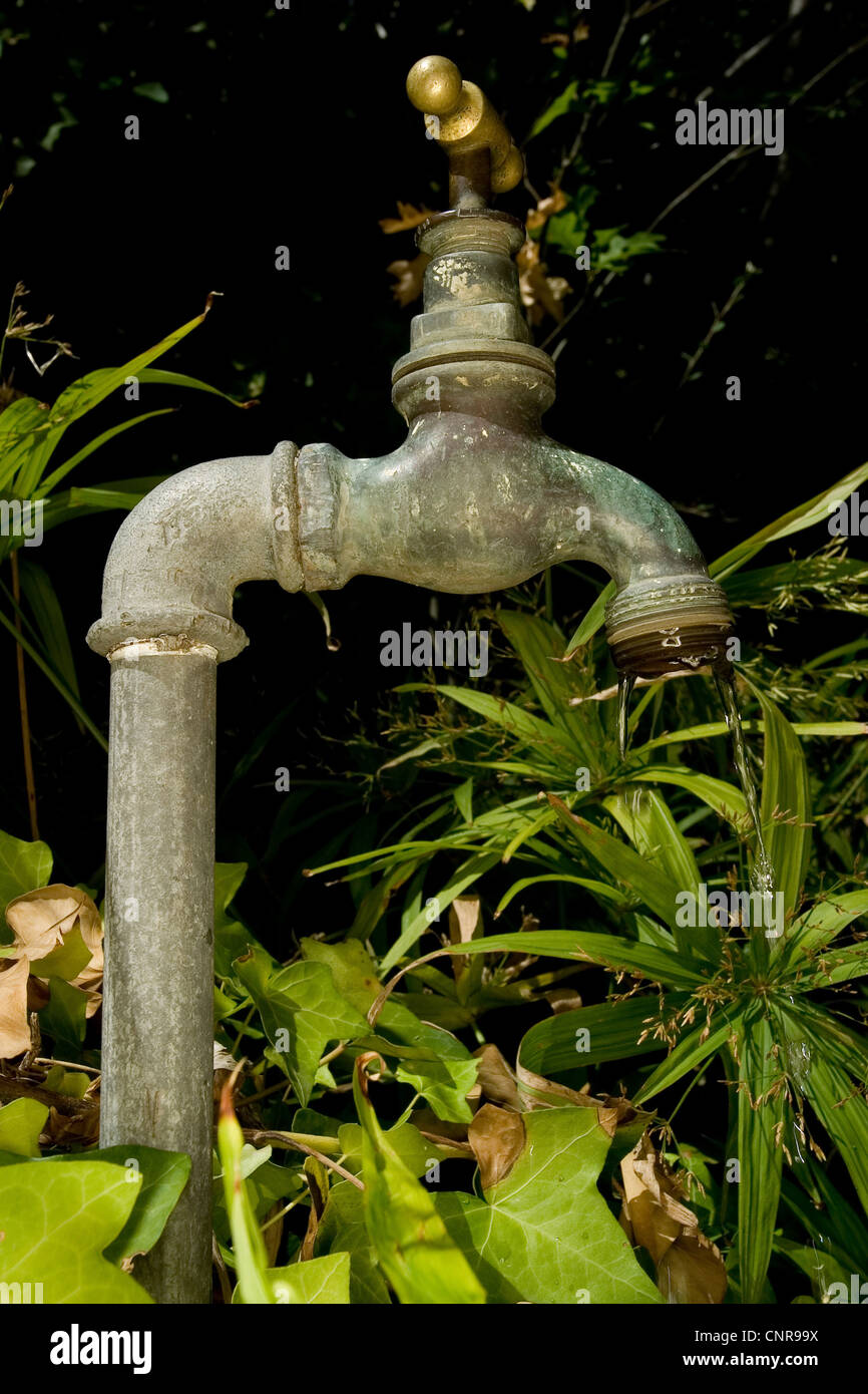 Common tap hi-res stock photography and images - Alamy