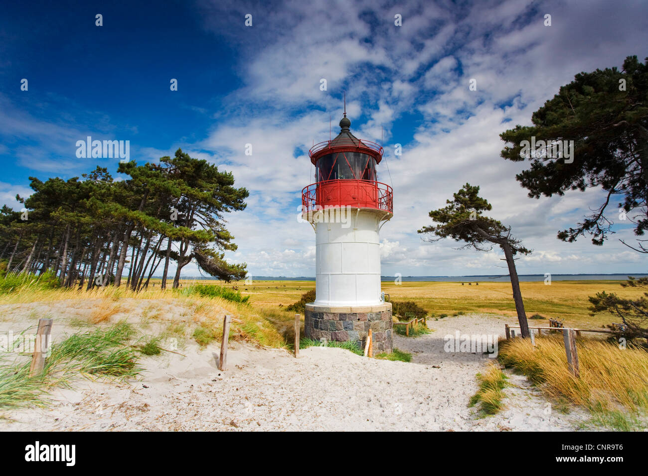 lighthouse at coastal landscape, Germany, Mecklenburg-Western Pomerania ...