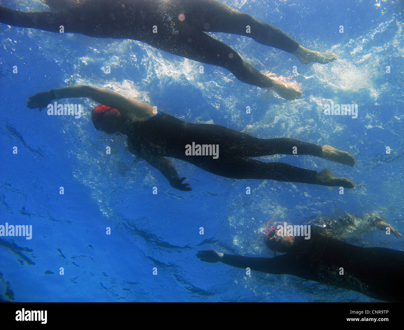 Underwater swimmers hi-res stock photography and images - Alamy