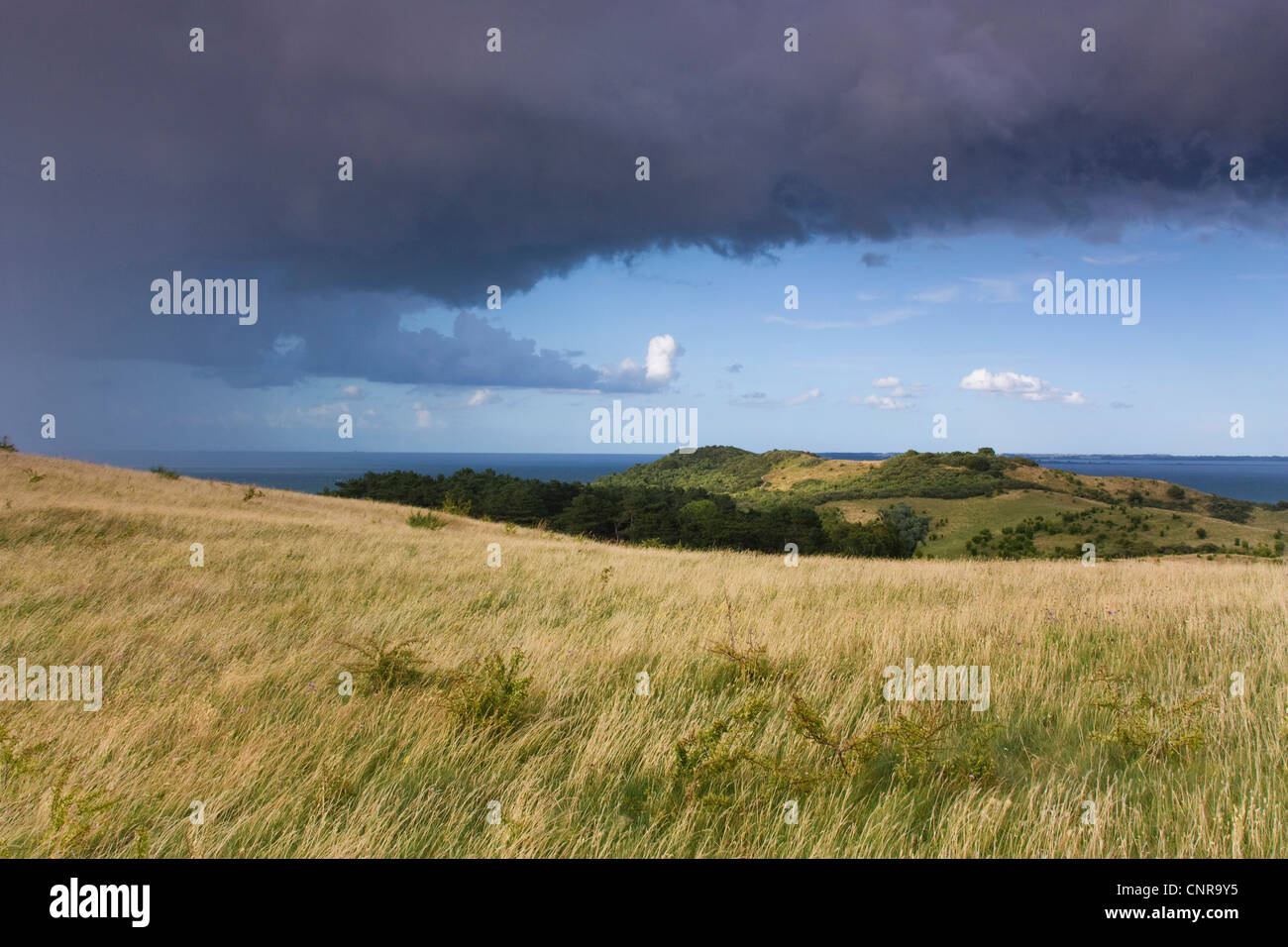 coastal landscape at stormy atmosphere, Germany, Mecklenburg-Western ...