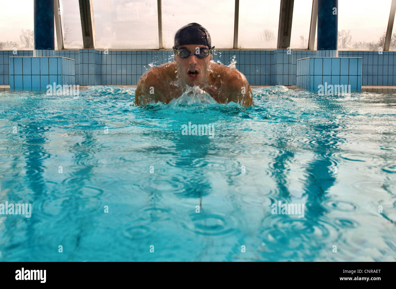 Man swimming in indoor pool Stock Photo - Alamy