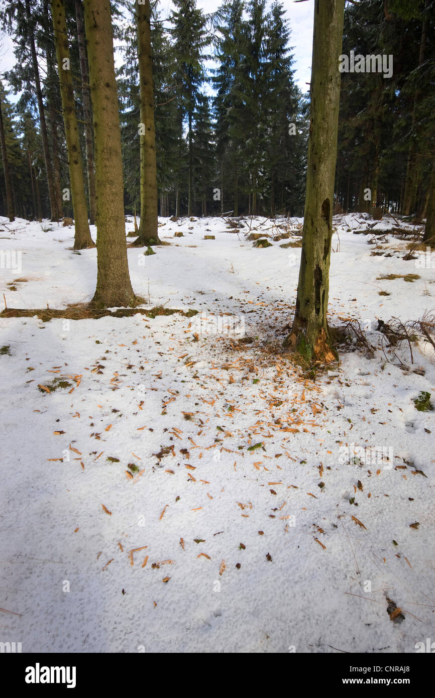 Dead log hashed by a hi-res stock photography and images - Alamy