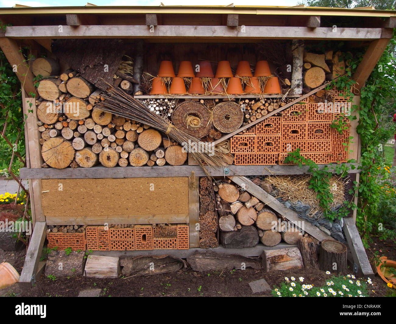 insect breeding help, Germany Stock Photo - Alamy