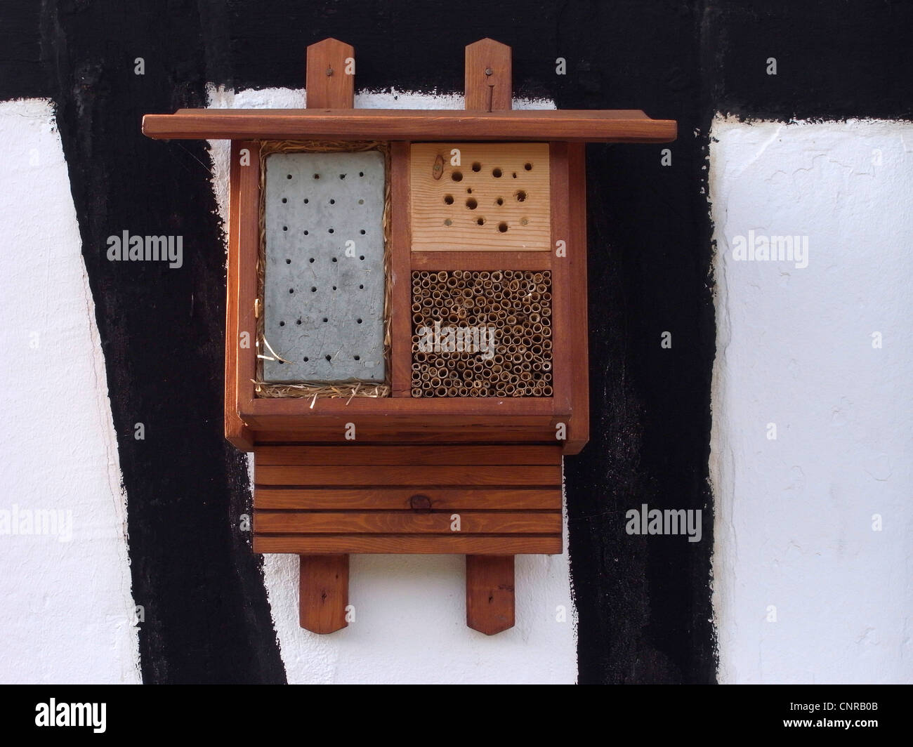 insect breeding help, Germany Stock Photo - Alamy