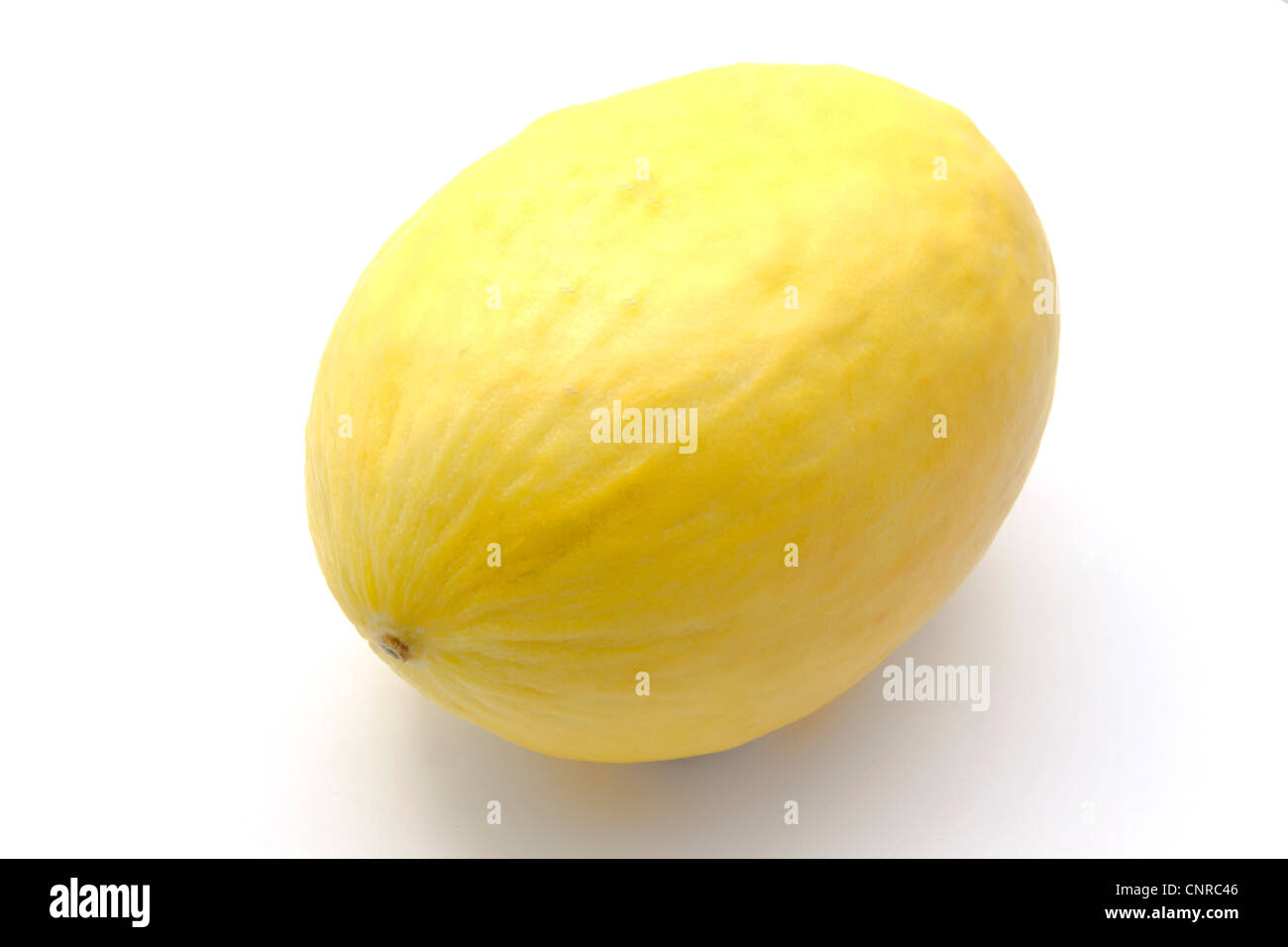 Fresh and delicious melon isolated on white background Stock Photo - Alamy