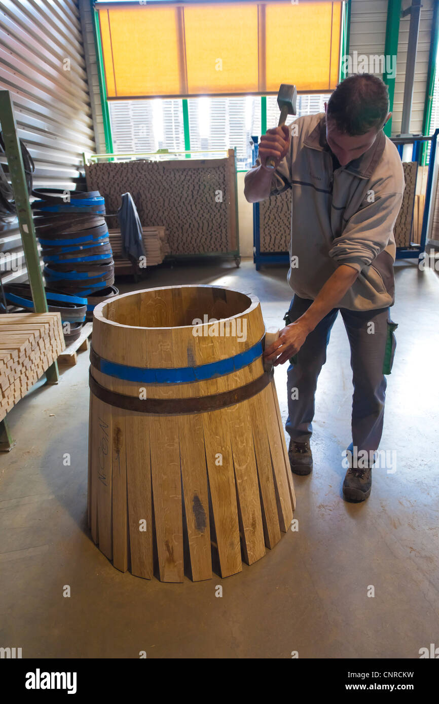 The hooping process. , Cooperage Damy Father and Sun. Meursault, France ...