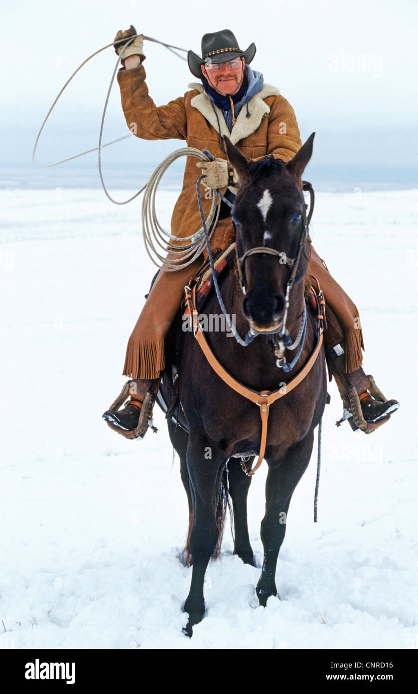 Adult man cowboys senior hi-res stock photography and images - Alamy