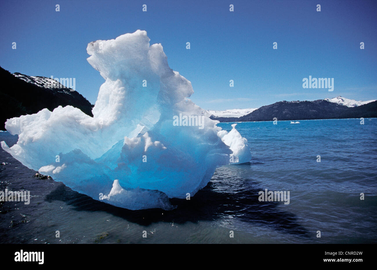 Icy Bay - Prince William Sound, USA, Alaska Stock Photo - Alamy