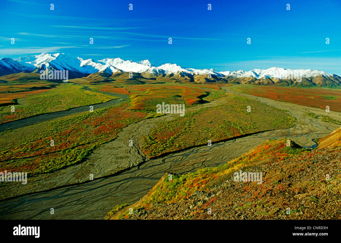 mountains of the Alaska Range with tundra in autumn, USA, Alaska ...