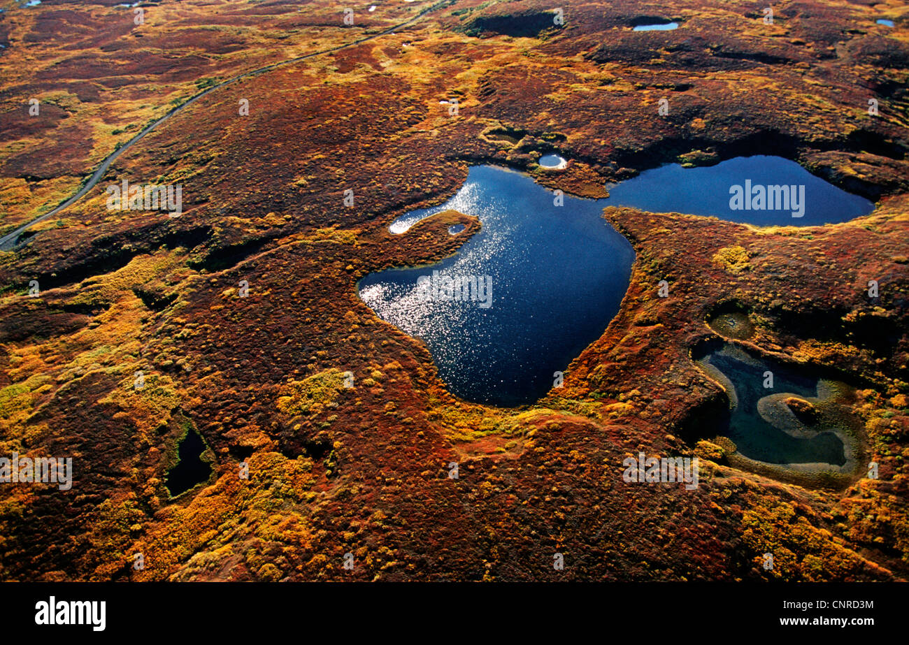Northern pond in autumn colours hi-res stock photography and images - Alamy