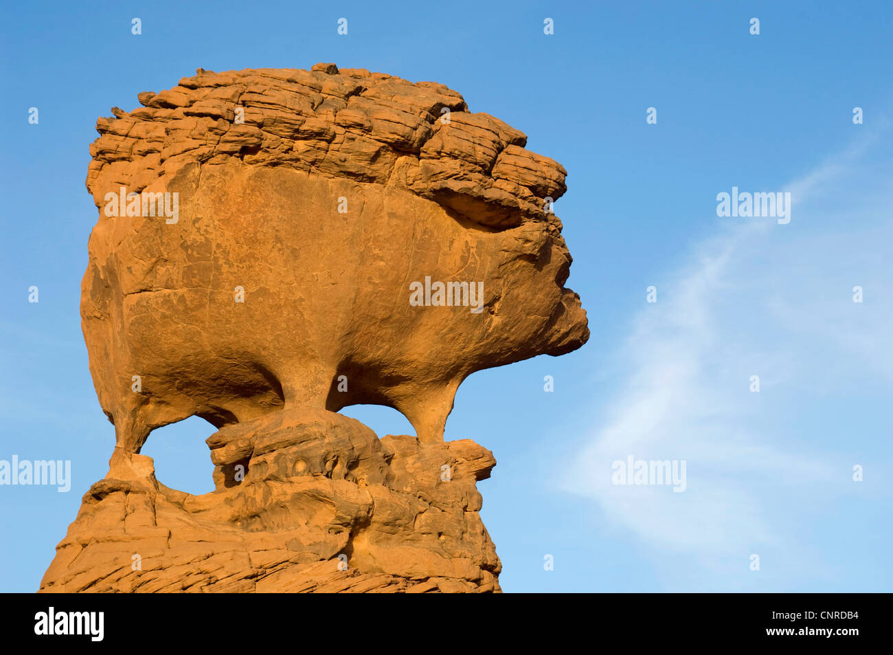 Pig rock hi-res stock photography and images - Alamy