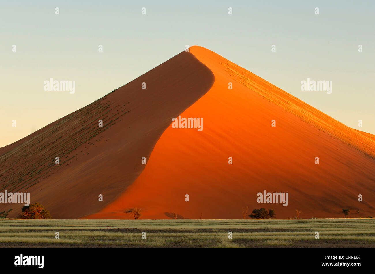 star dune in the Namib Desert, Namibia, Sossusvlei, Sesriem Stock Photo ...