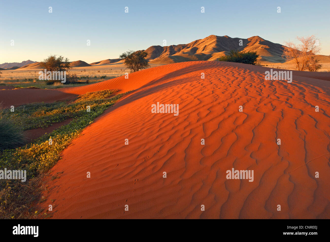 West rand hi-res stock photography and images - Alamy