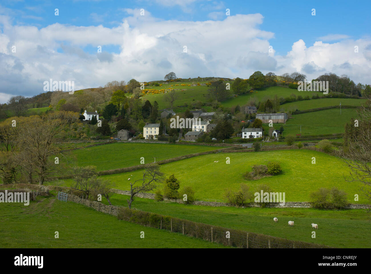 Fields around the village of Crosthwaite, Lyth Valley, Lake District ...