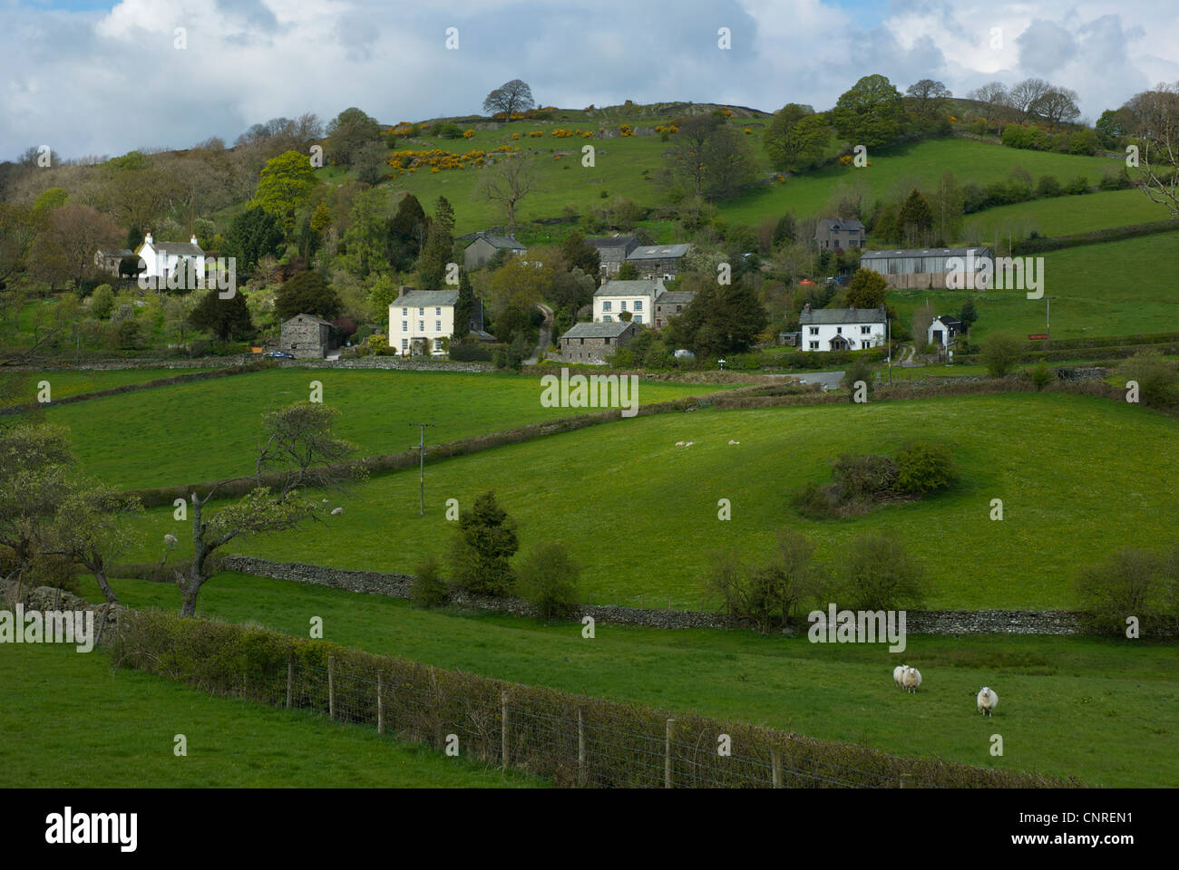 Blossom lyth valley hi-res stock photography and images - Alamy